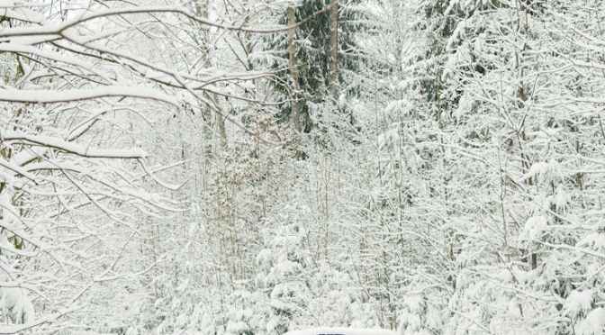 PESKY WEATHER* — BOB PRICHARD | THE BIBLE MESSENGER